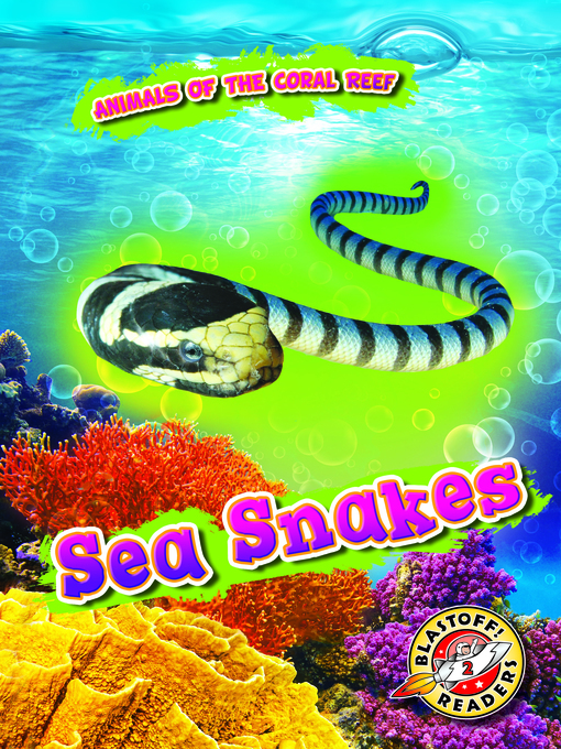 Libby - Sea Snakes